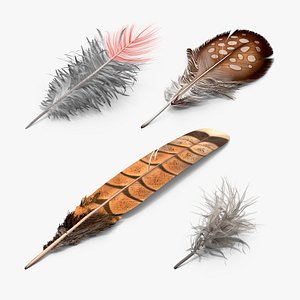 Free 3D Feather Models | TurboSquid