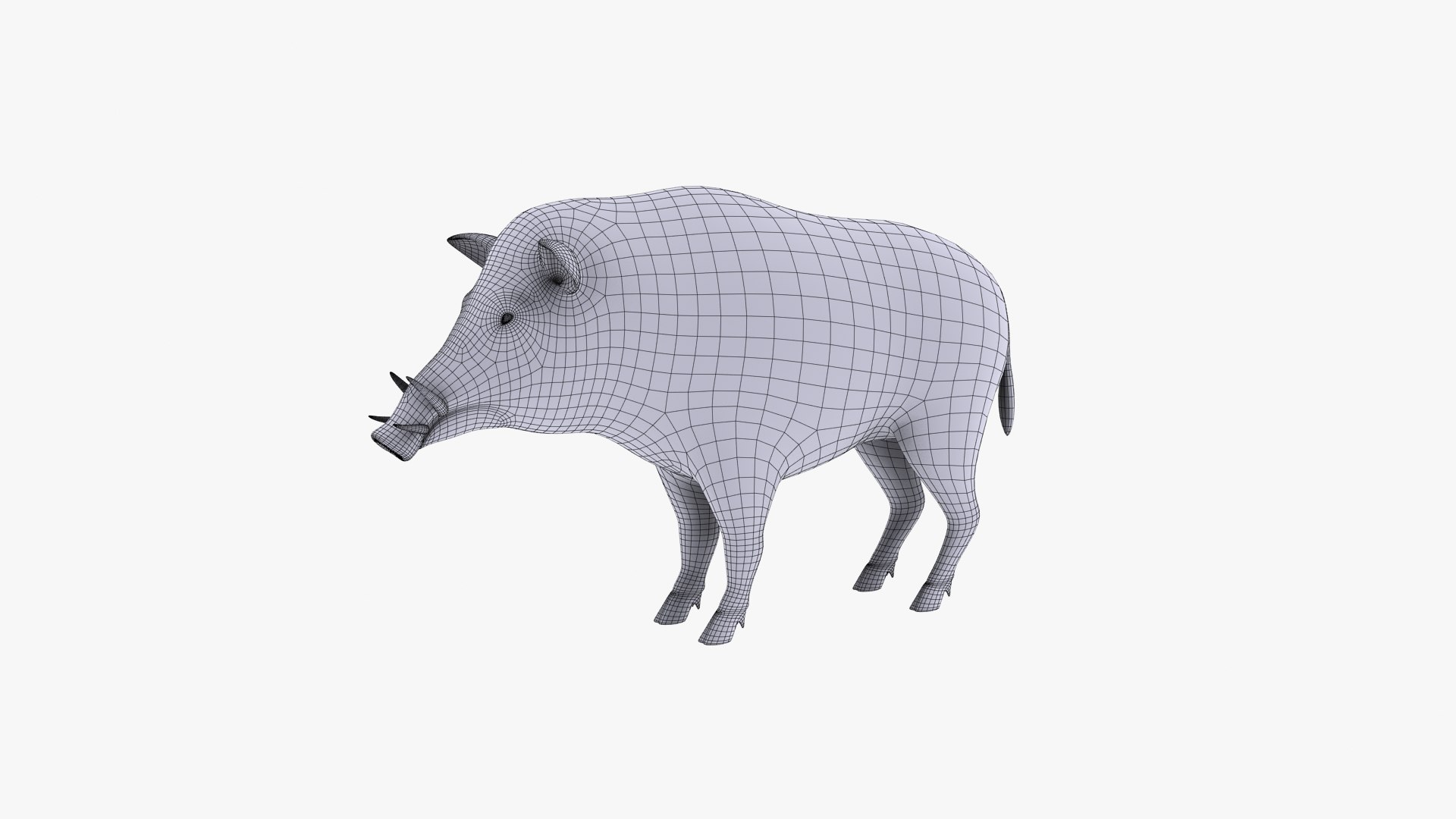 Boar Poser Model - TurboSquid 1753796