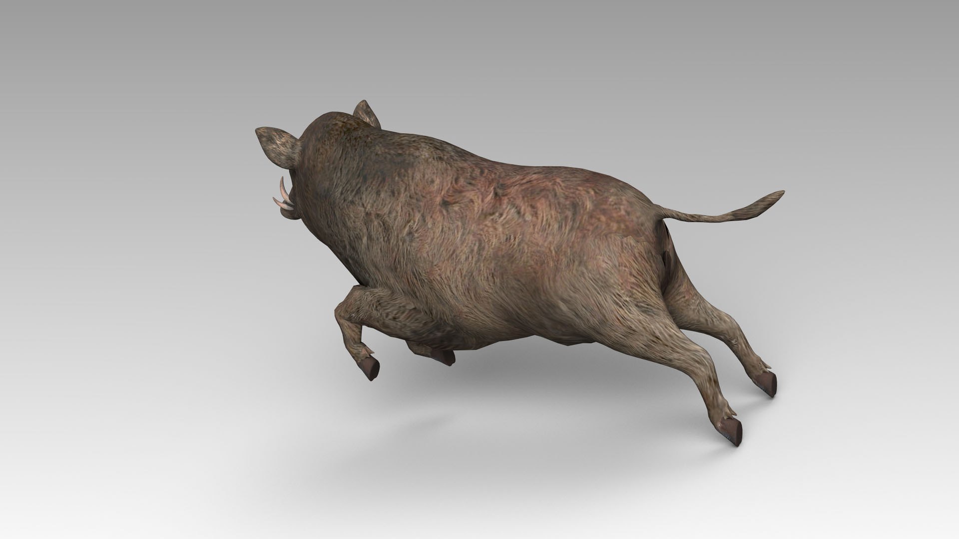 Boar Poser Model - TurboSquid 1753796