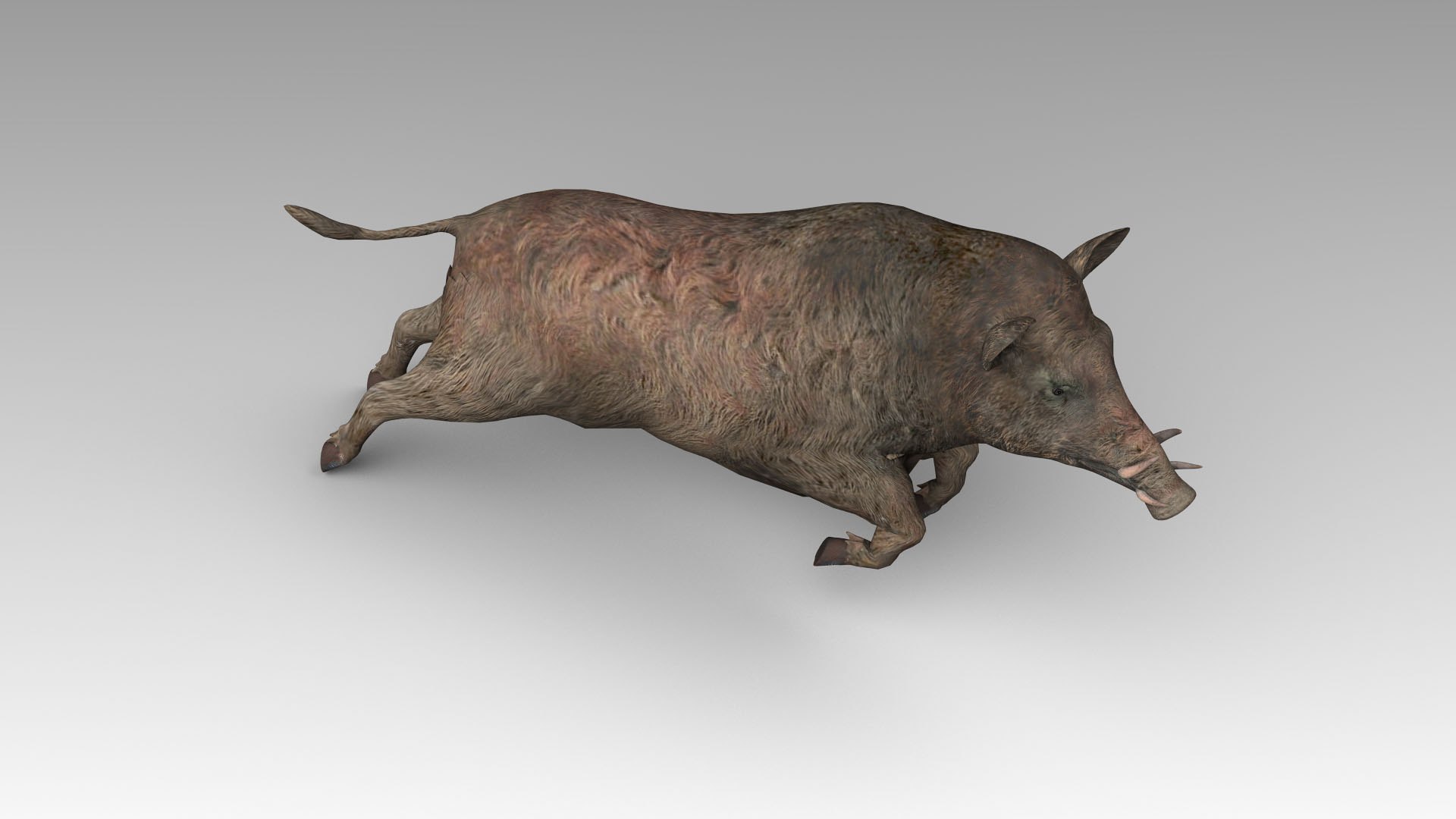 Boar Poser Model - TurboSquid 1753796