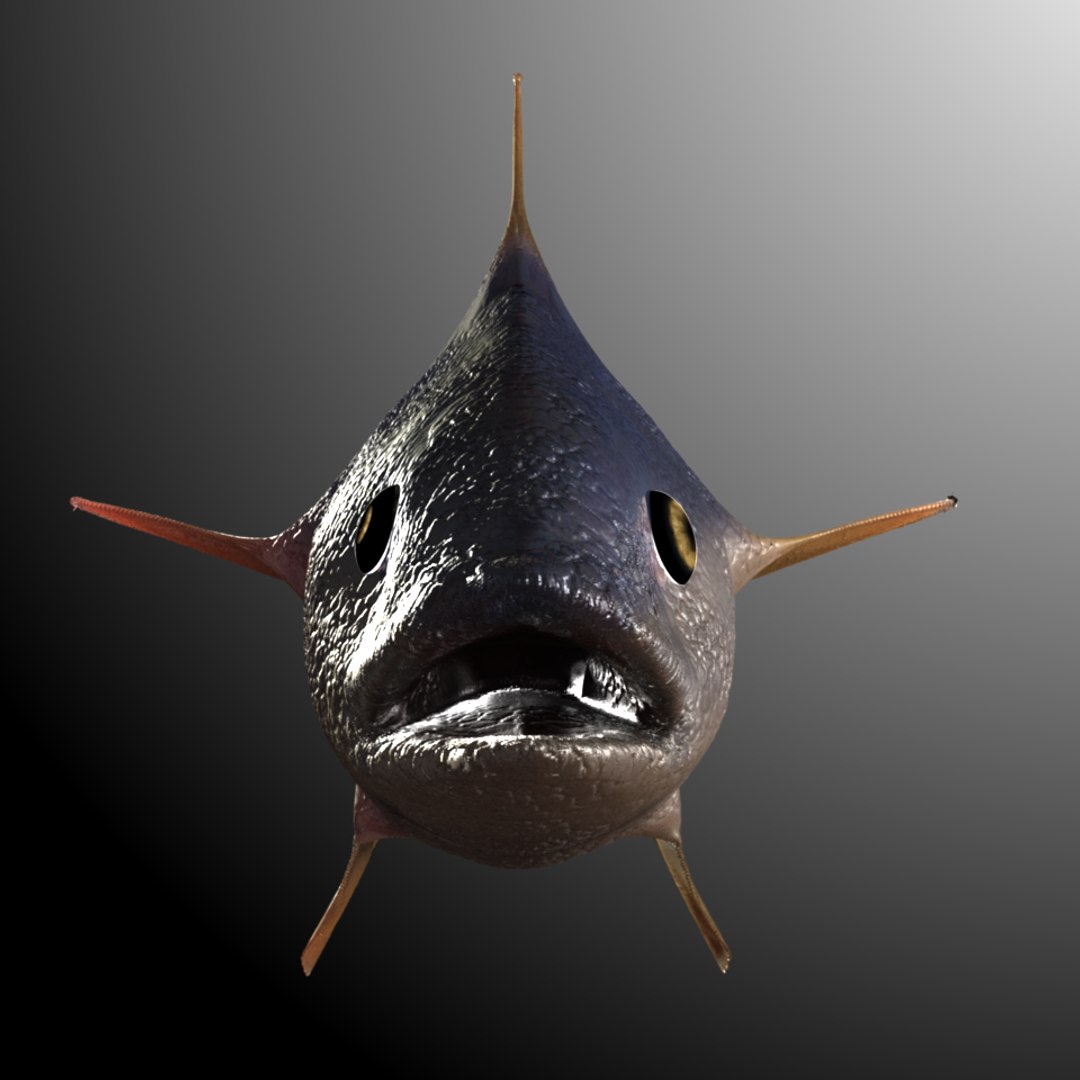 3d Model Tuna Fish
