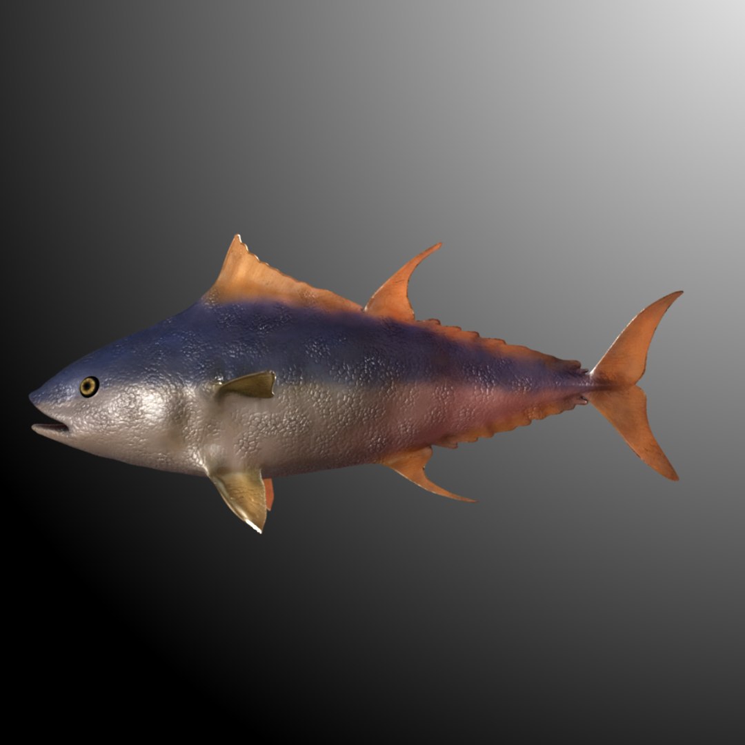 3d Model Tuna Fish