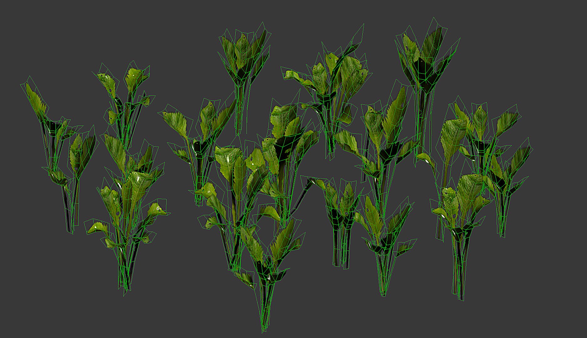 3D Model Ground Plant Pack - TurboSquid 1210150