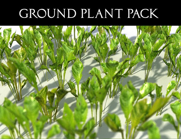 3D model ground plant pack - TurboSquid 1210150