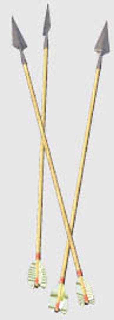 Arrow Flights 3d Model