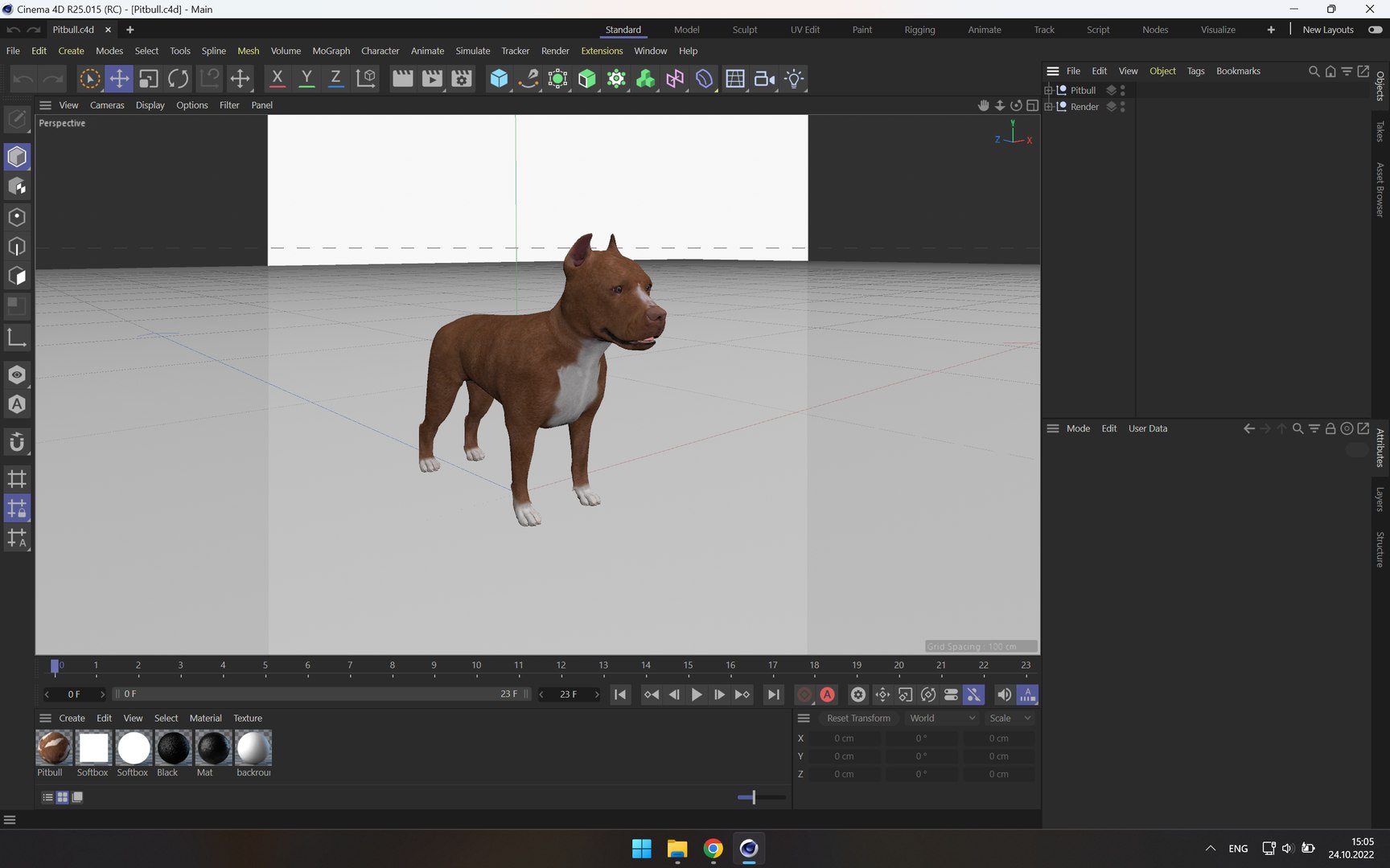 Pitbull 3D Model - TurboSquid 2082746