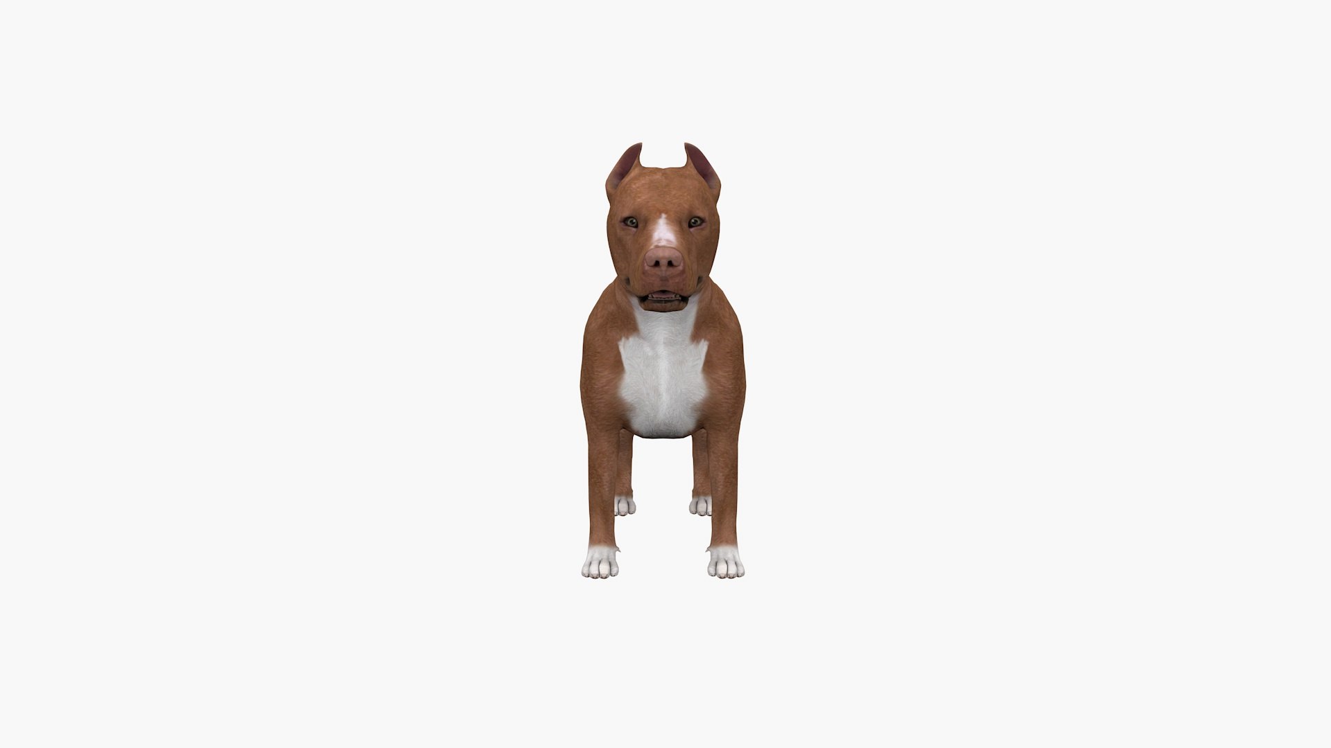 Pitbull 3D Model - TurboSquid 2082746