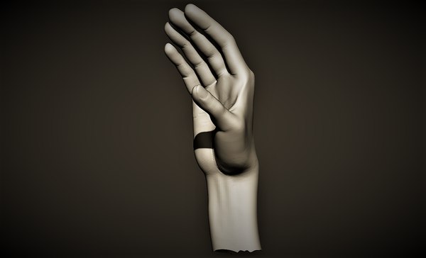 3D hand offering open - TurboSquid 1331188