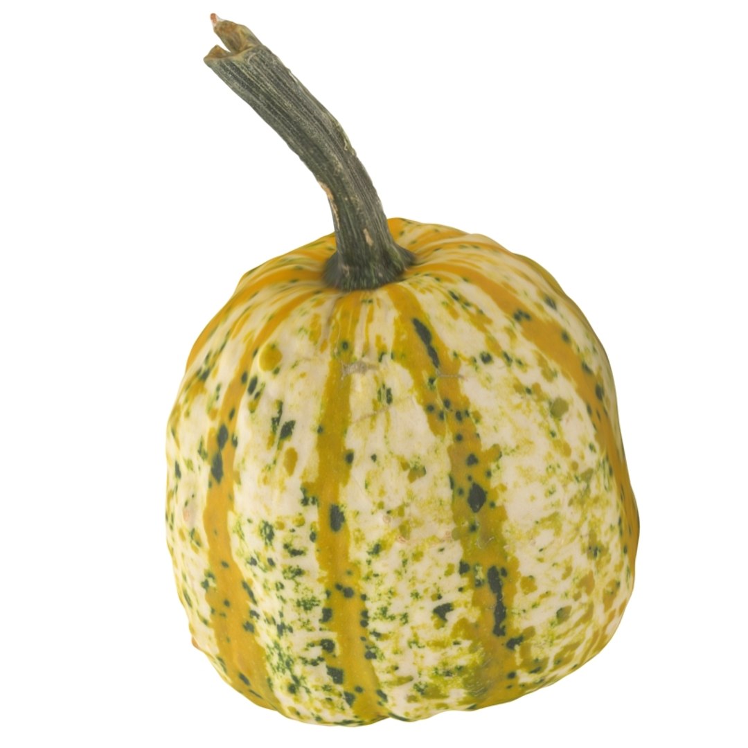 3d Pumpkin Scan
