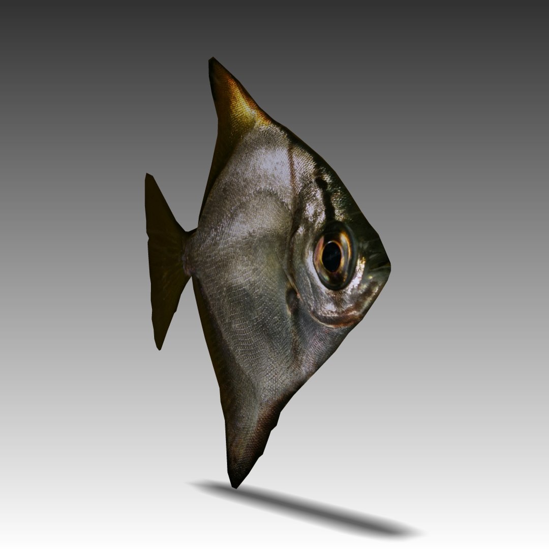 Obj Fish