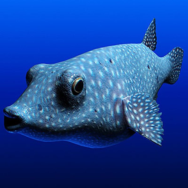 pufferfish fugu 3d model