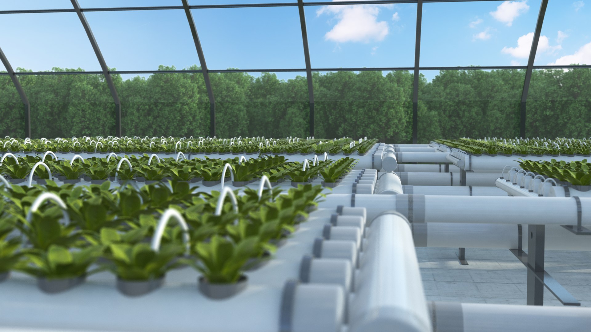 3D Model Hydroponics Farm - TurboSquid 1532304