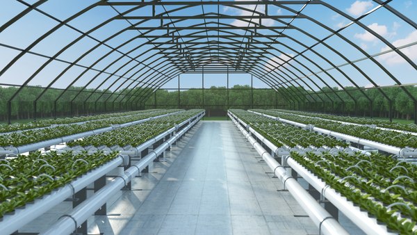 3D model hydroponics farm - TurboSquid 1532304