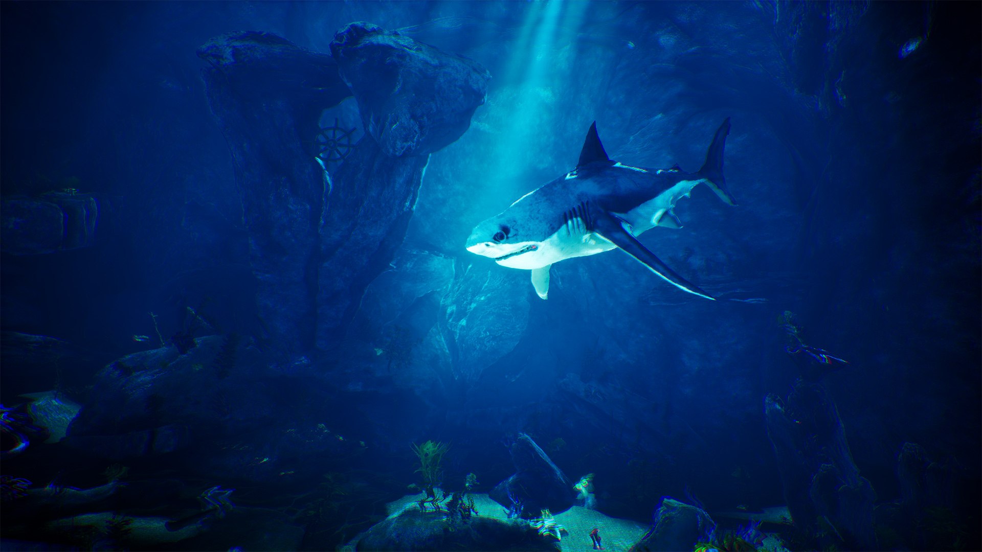 3D Model Underwater World 70 Assets - TurboSquid 1983779