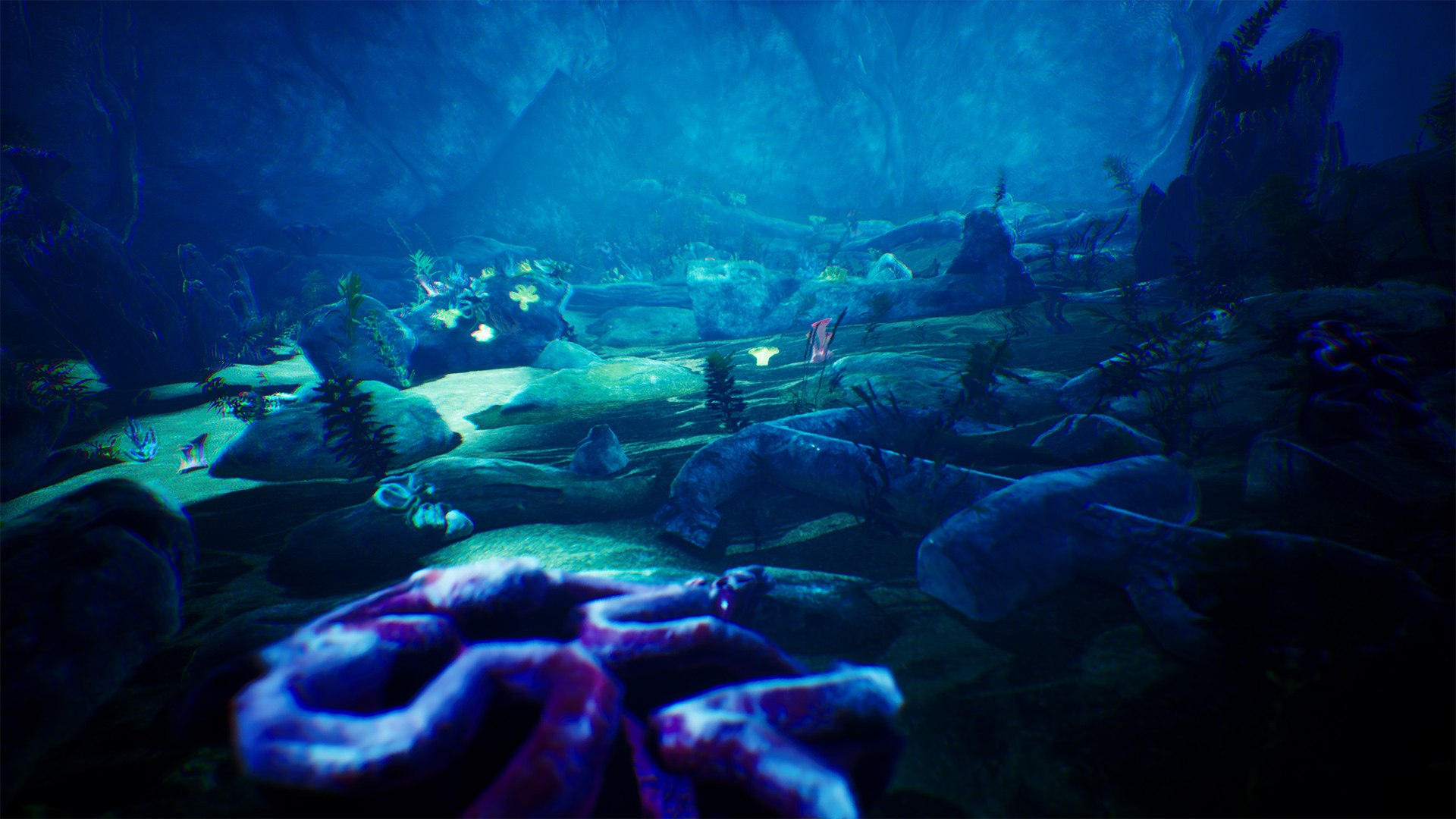 3D Model Underwater World 70 Assets - TurboSquid 1983779