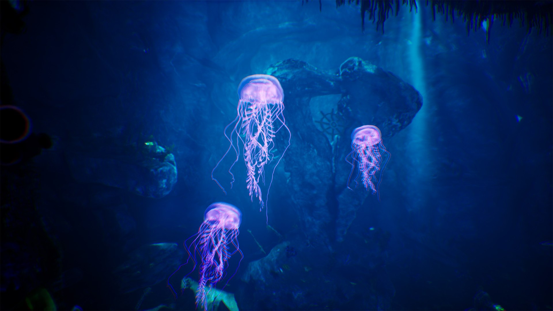 3D Model Underwater World 70 Assets - TurboSquid 1983779