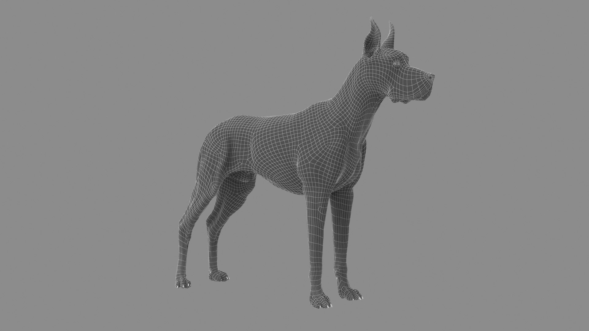 Great Dane Dog 3D Model - TurboSquid 1676702