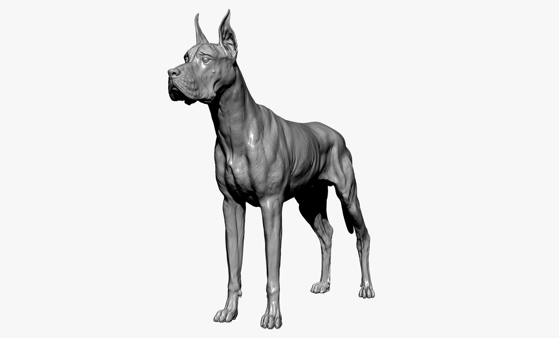 Great Dane Dog 3D Model - TurboSquid 1676702
