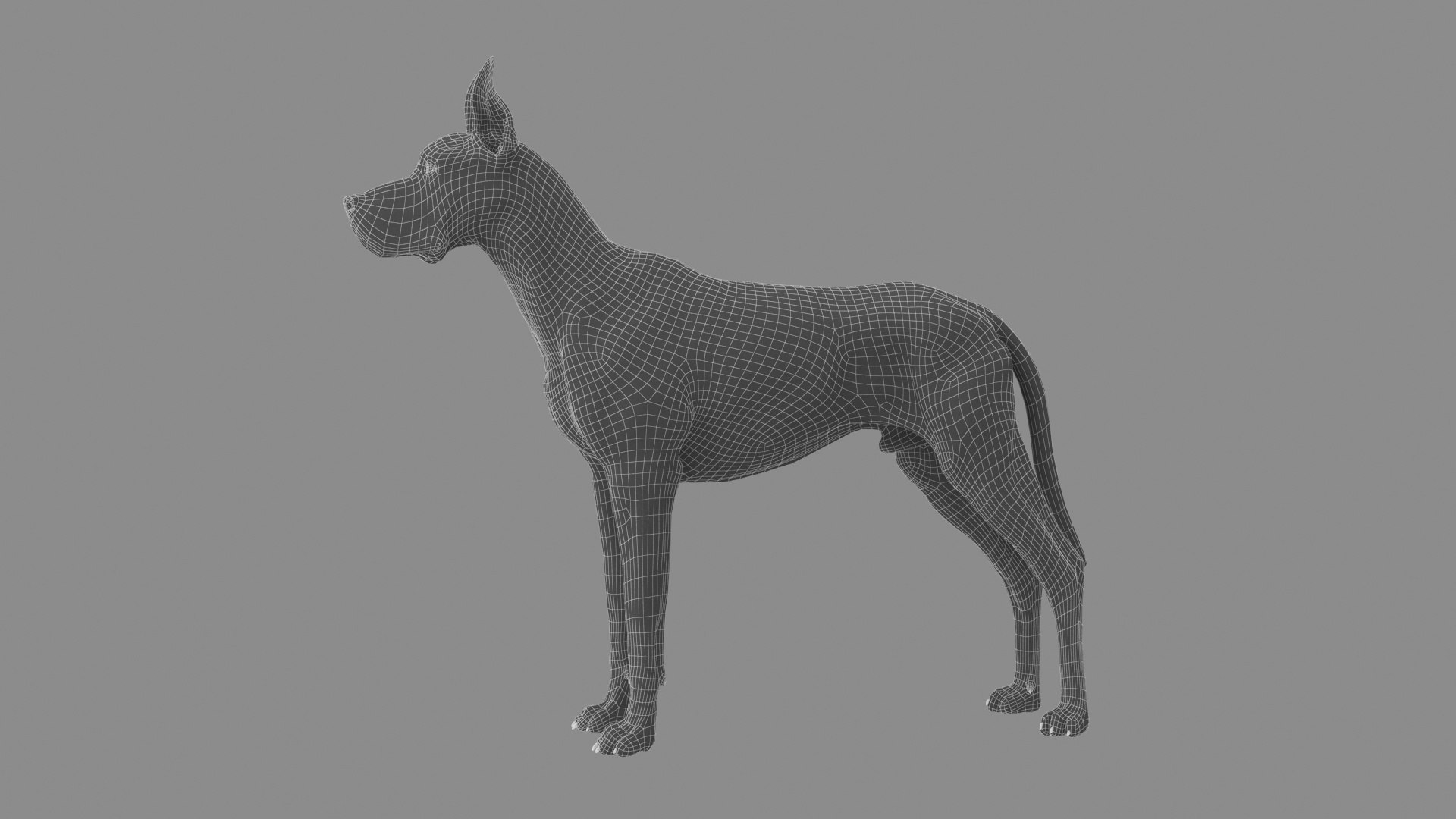 Great dane dog 3D model - TurboSquid 1676702