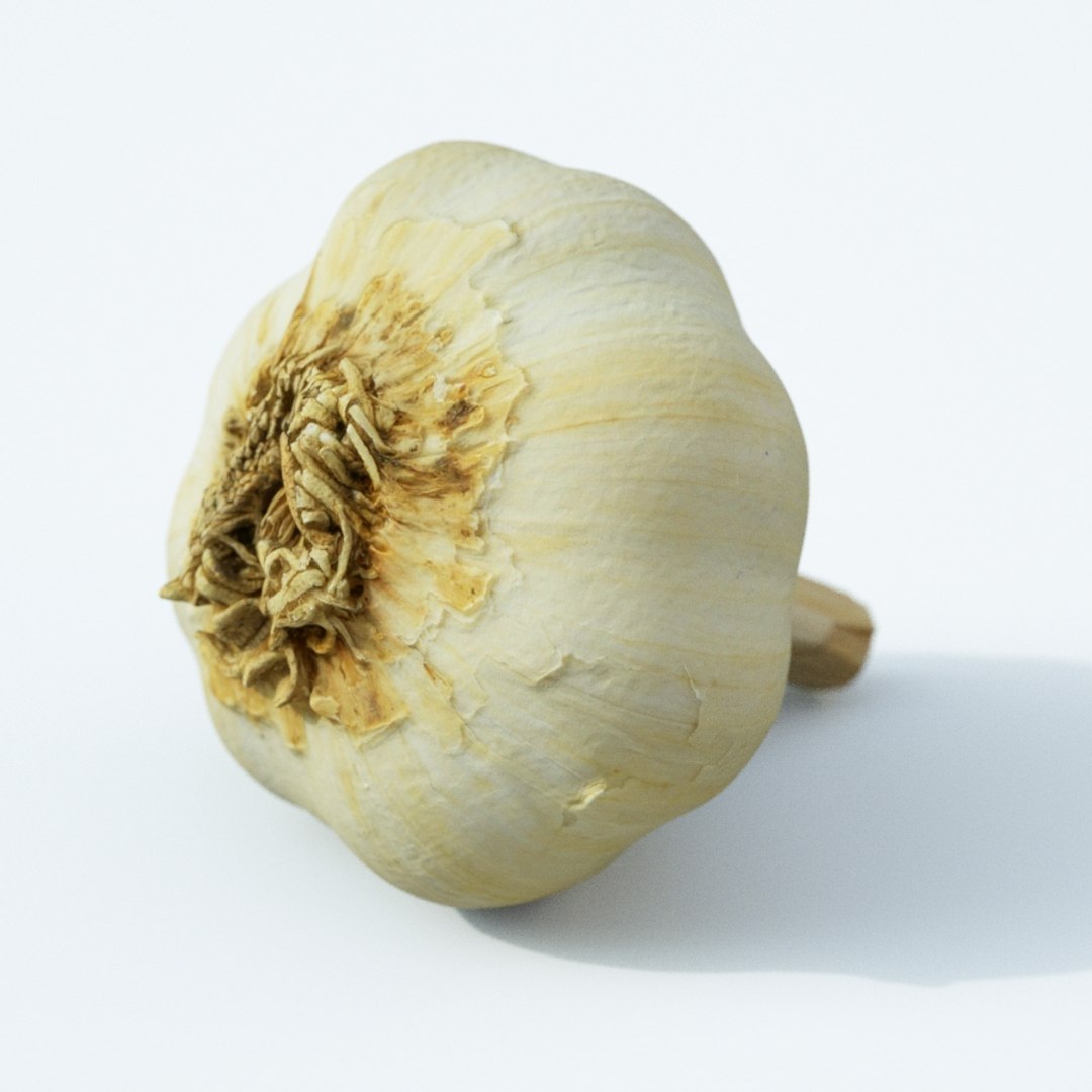 3D Garlic Set - TurboSquid 1349507