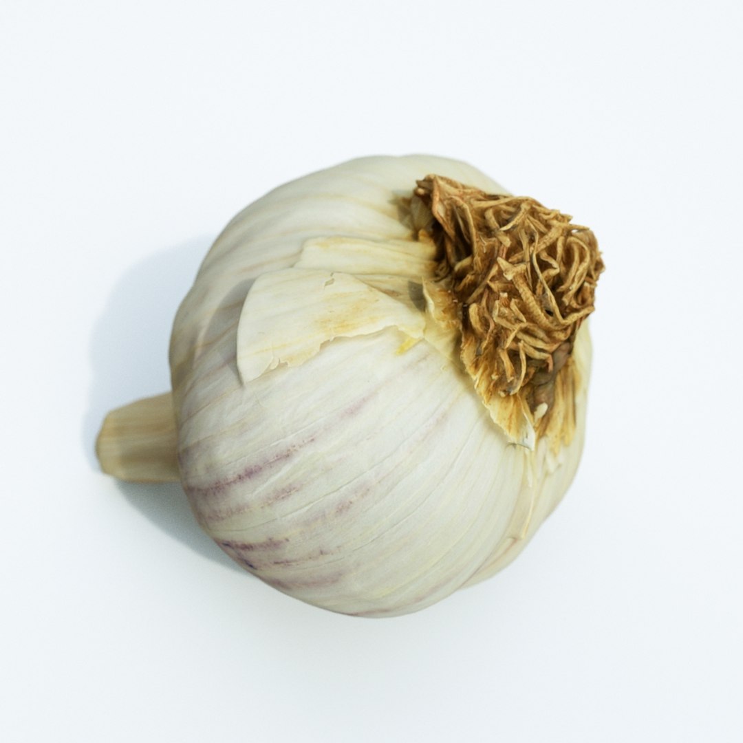 3D Garlic Set - TurboSquid 1349507