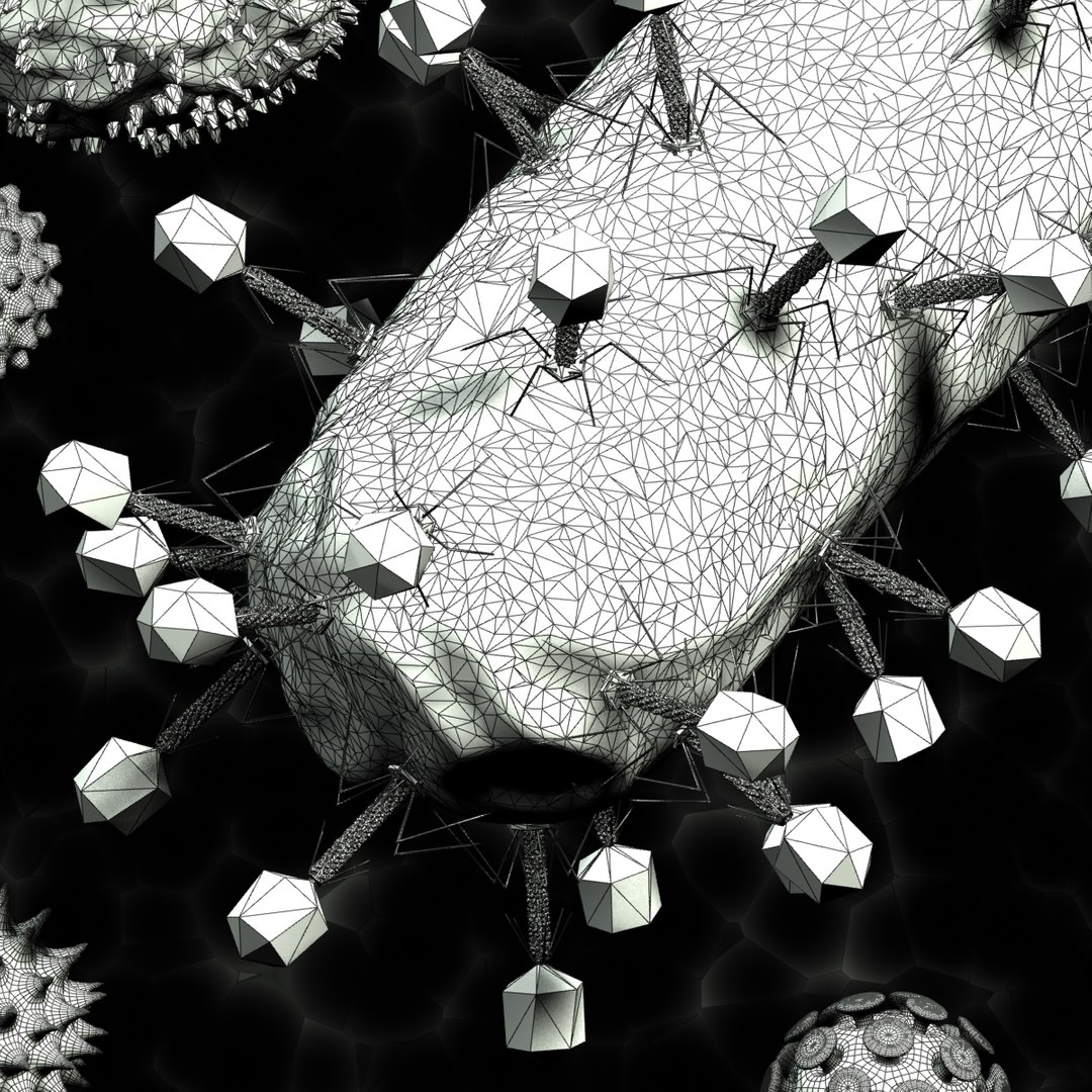 3ds Viral Objects Virus