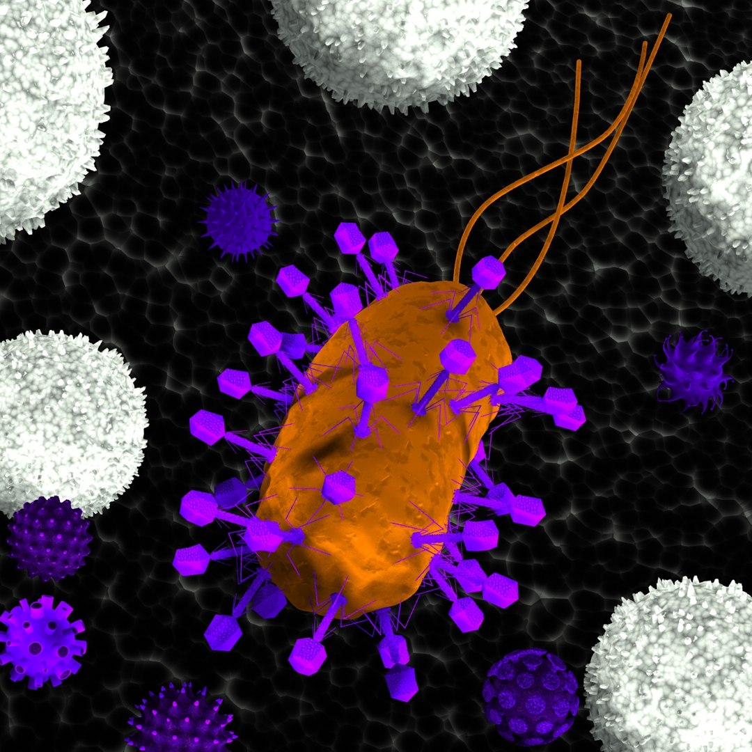 3ds Viral Objects Virus