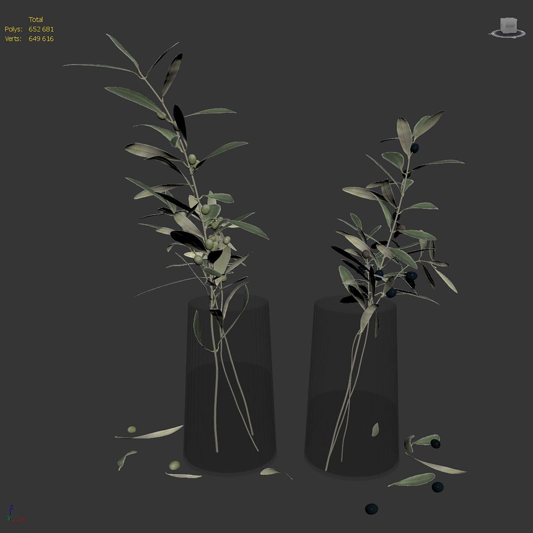 3D Olive Branches In A Vase Set3 Model - TurboSquid 2004797