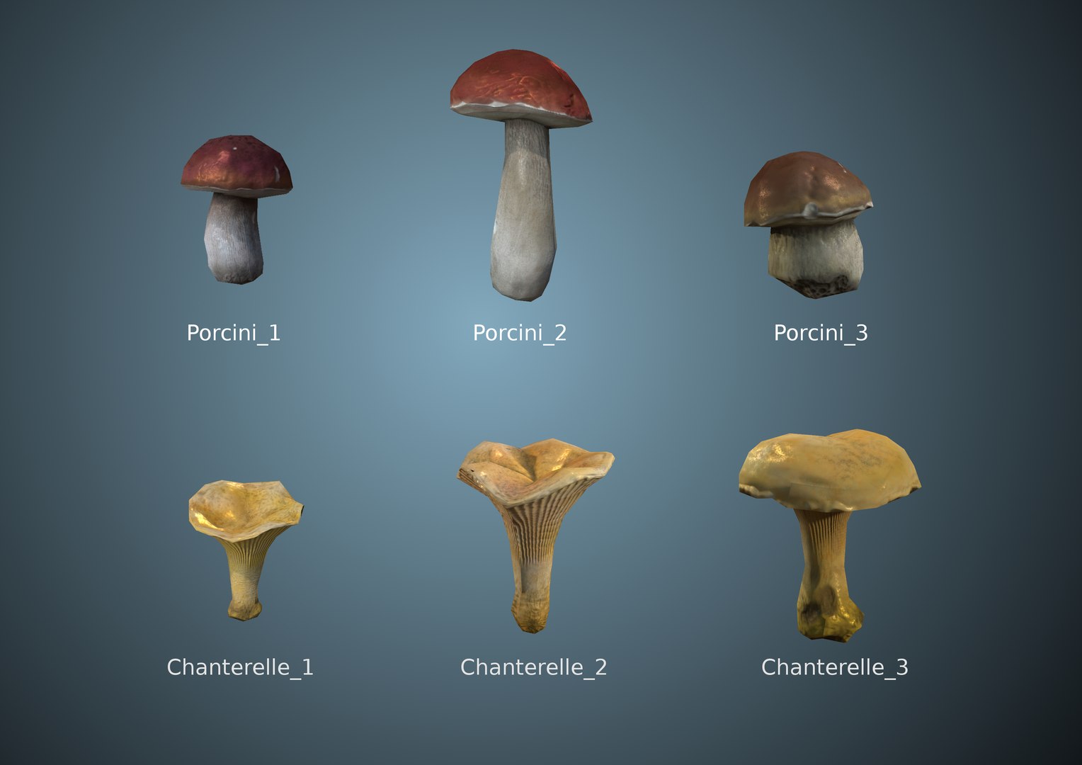 Porcini Toadstool Mushrooms Obj