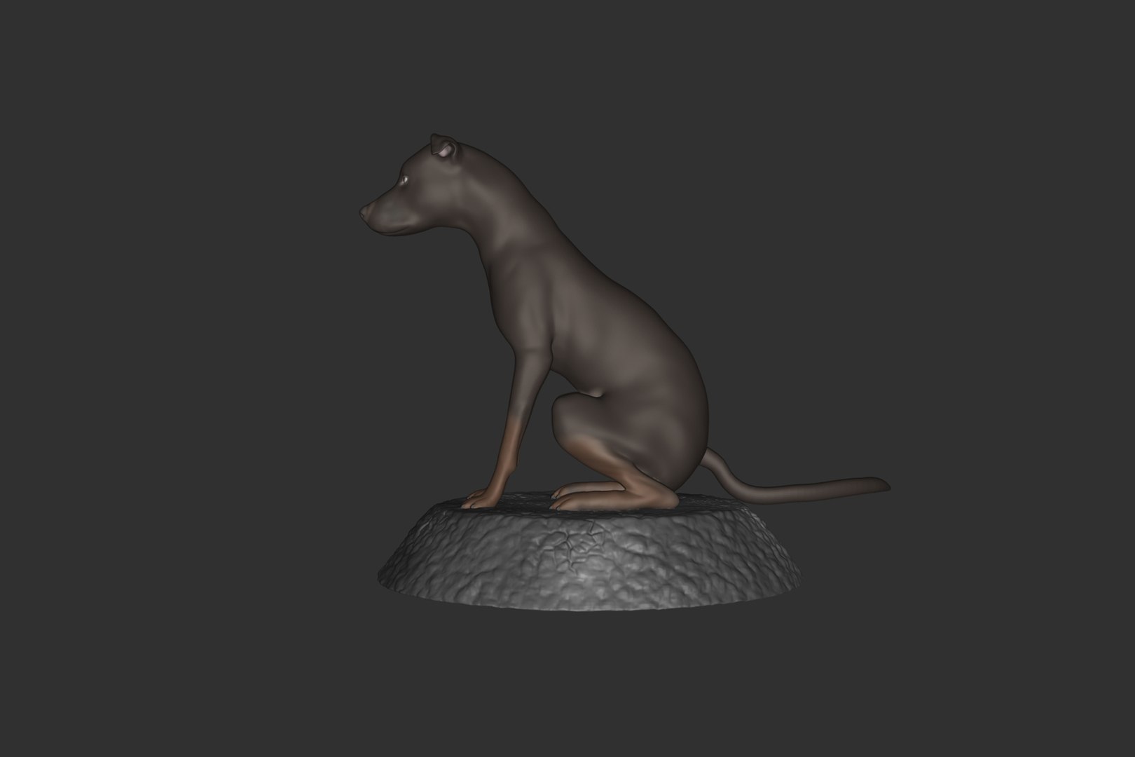 3D Alfred Dog Model - TurboSquid 1989851