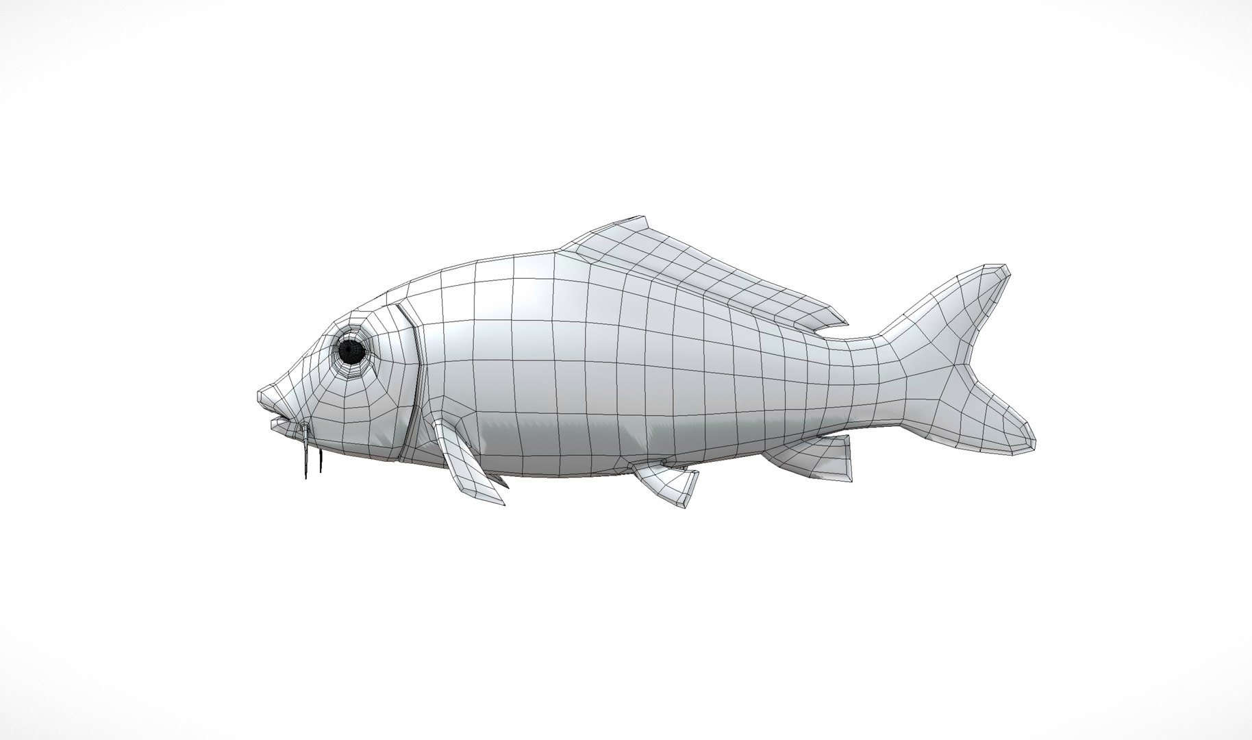 3D fish obj model - TurboSquid 2169404