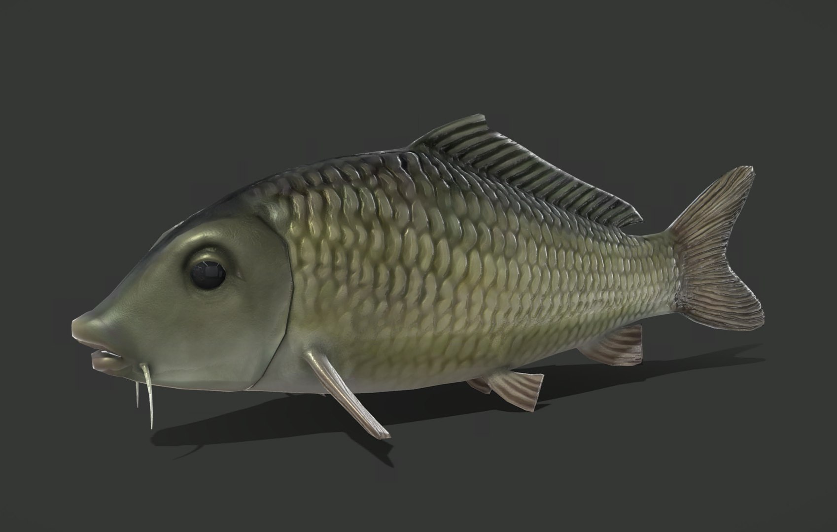 3D fish obj model - TurboSquid 2169404