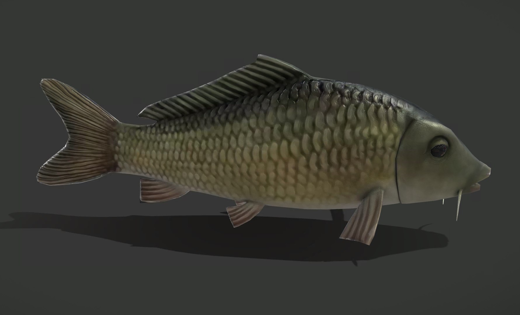 3D fish obj model - TurboSquid 2169404