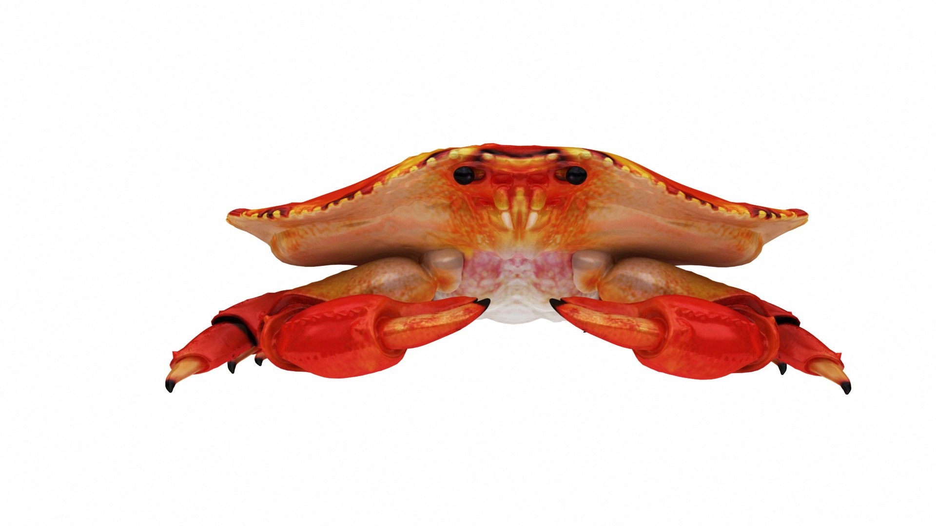 Realistic Crab And Cartoon Crab Collection Model - TurboSquid 2081714
