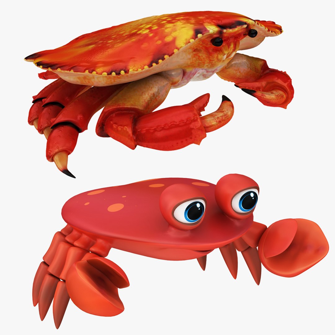 Realistic Crab And Cartoon Crab Collection Model - TurboSquid 2081714