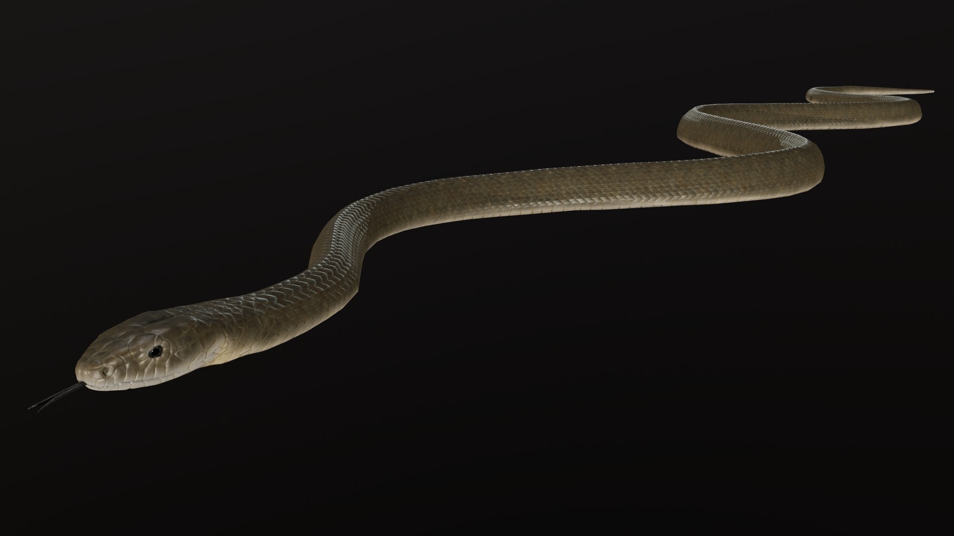 Snake Black Mamba 3D Model - TurboSquid 1663446