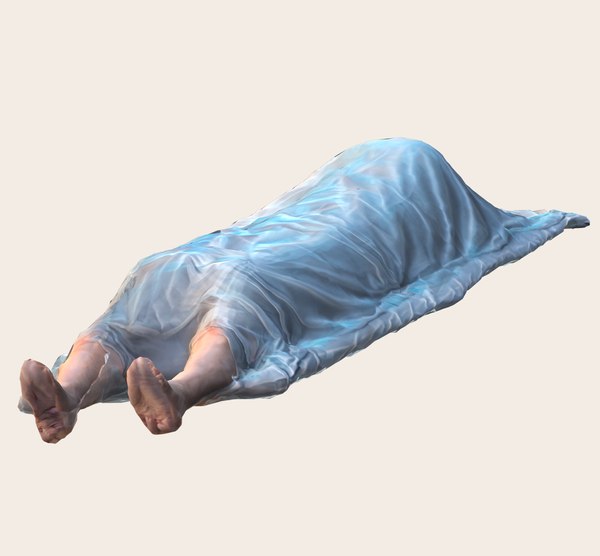 modelo 3d Cadáver cubierto - TurboSquid 2288953