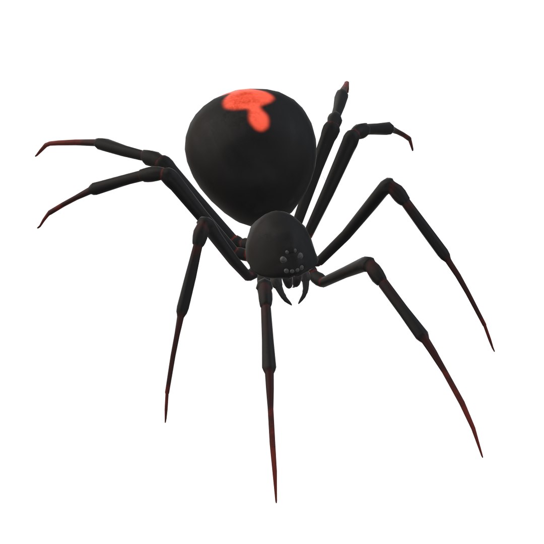 3D Spider Model - TurboSquid 2343270
