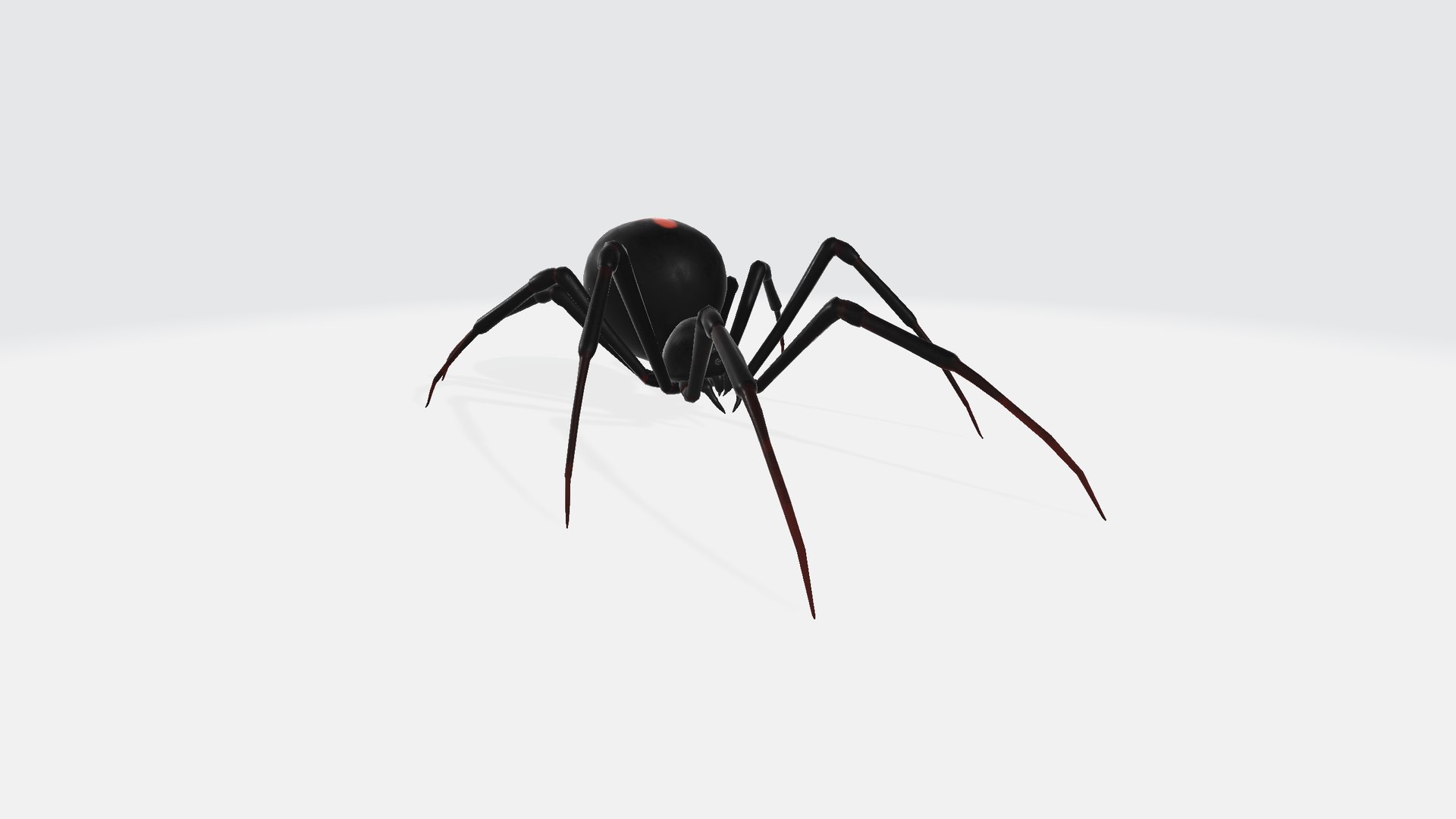 3D Spider Model - TurboSquid 2343270