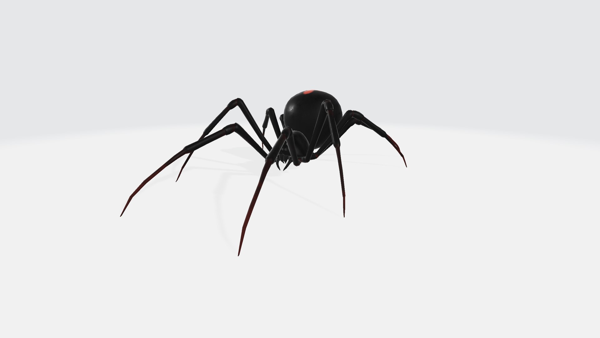 3D Spider Model - TurboSquid 2343270
