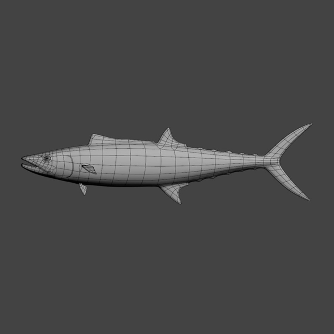 Fish Mackerel 3d Model