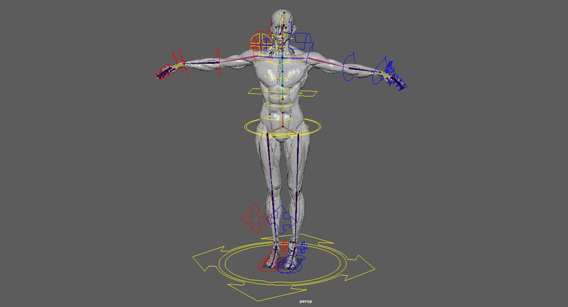 3D model muscular rig male - TurboSquid 1308983