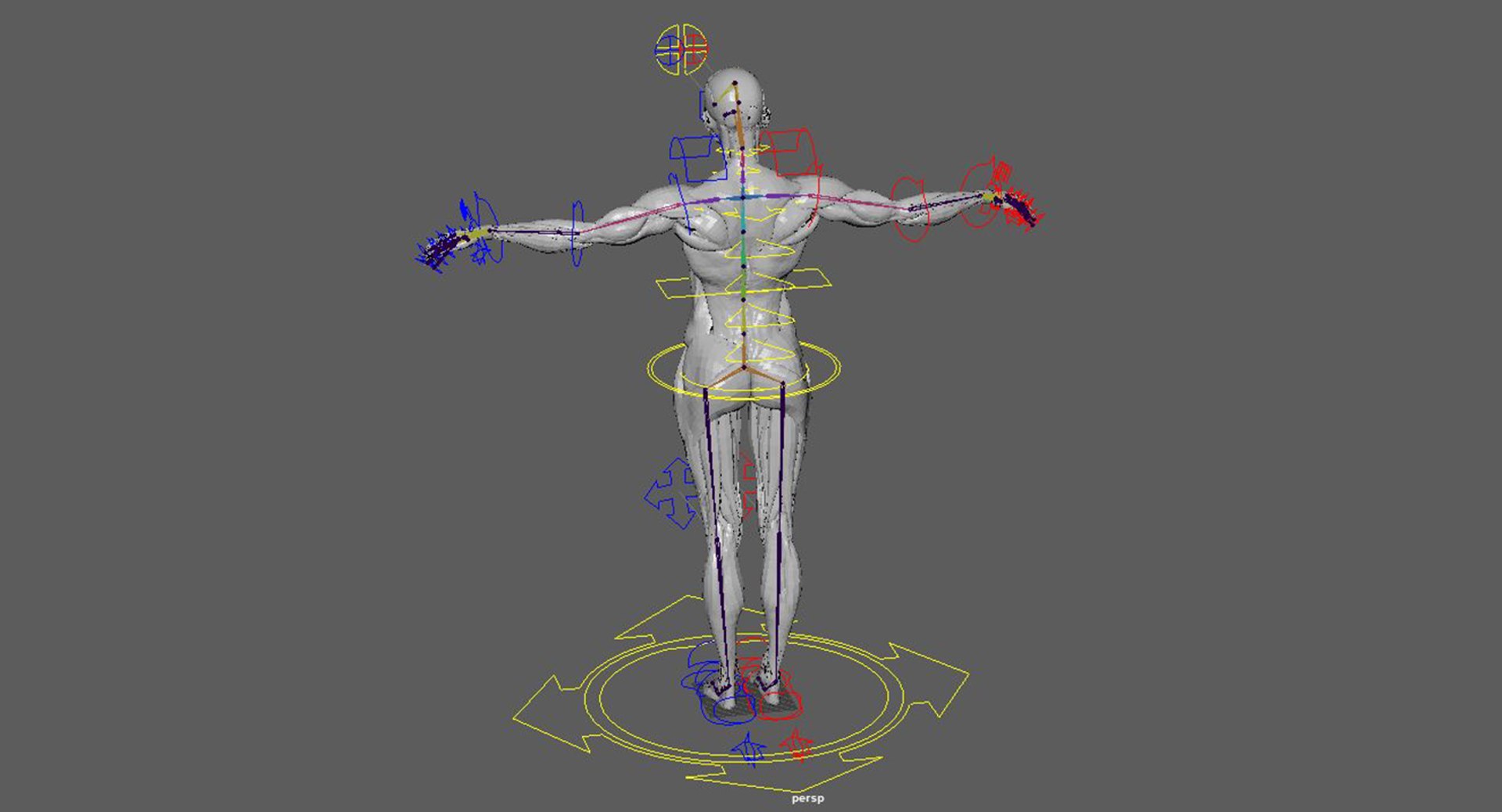3D model muscular rig male - TurboSquid 1308983