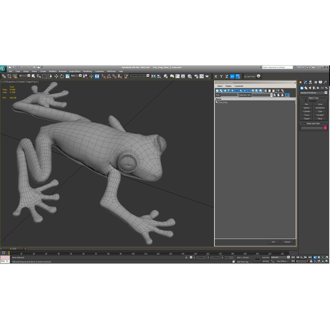 3d Tree Frog Pose 2