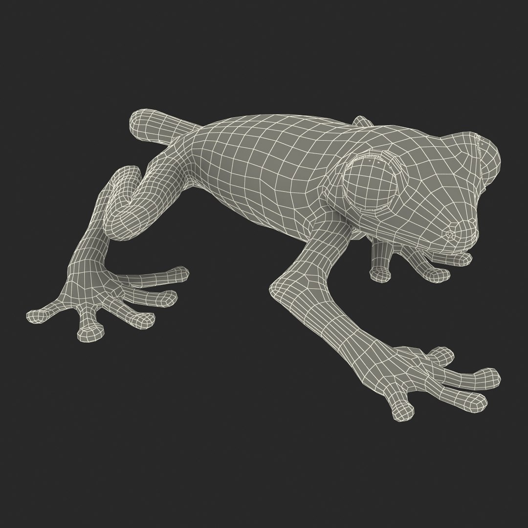 3d Tree Frog Pose 2