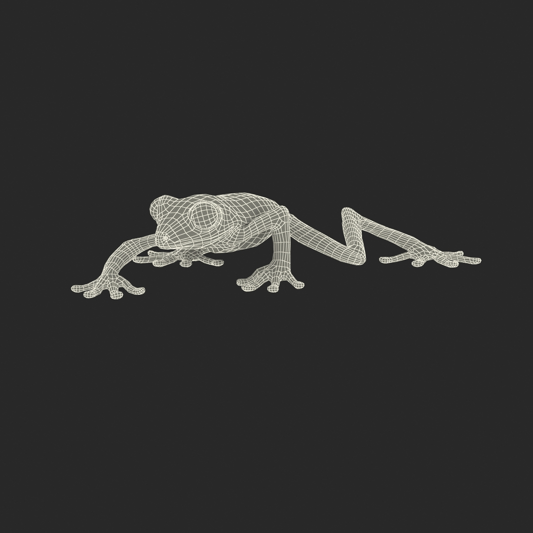 3d Tree Frog Pose 2