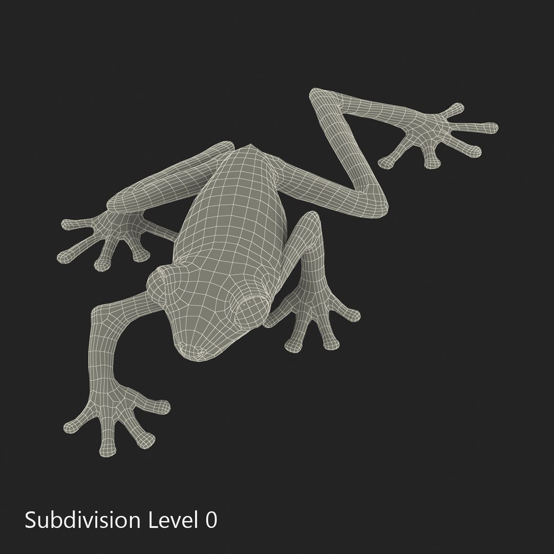 3d Tree Frog Pose 2