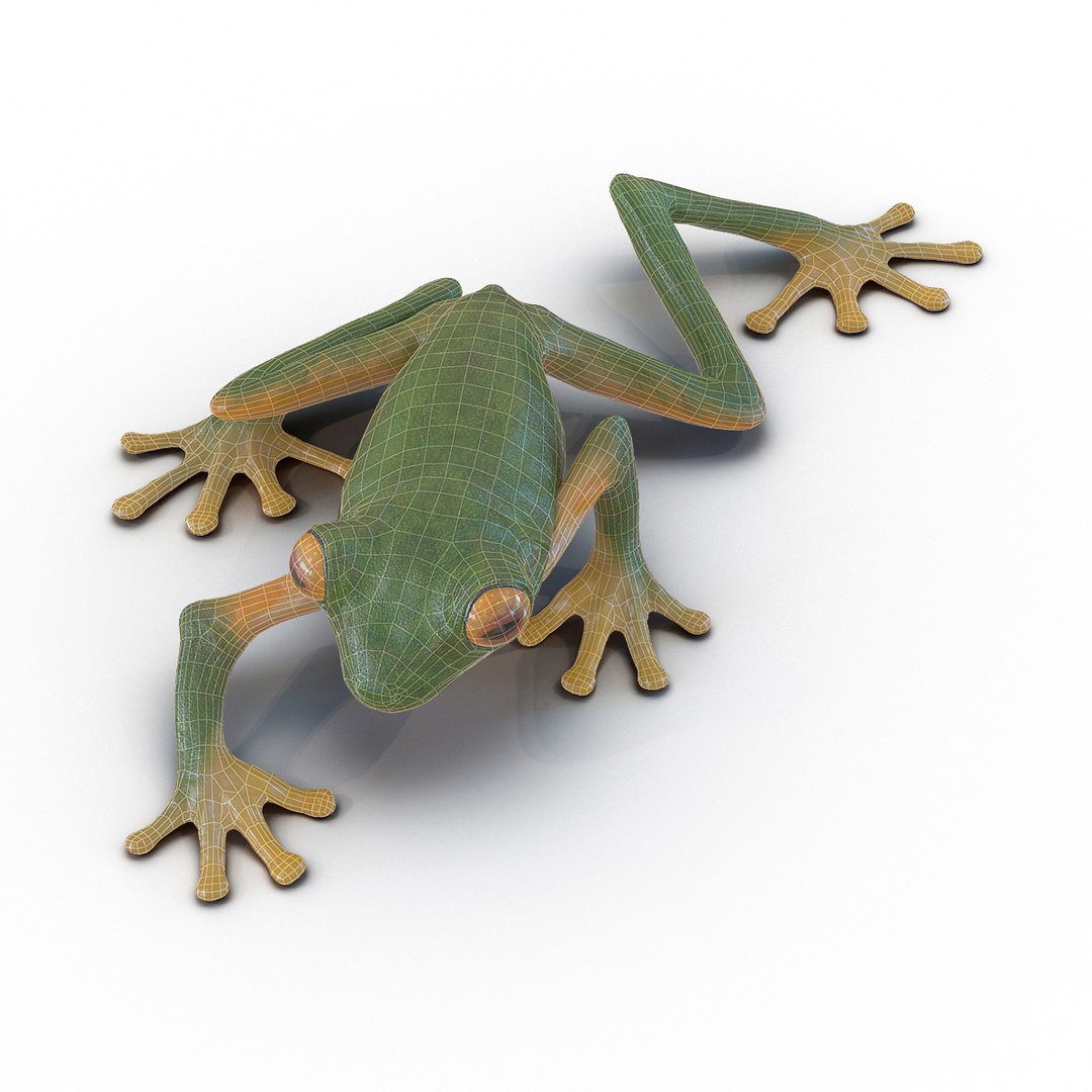 3d Tree Frog Pose 2