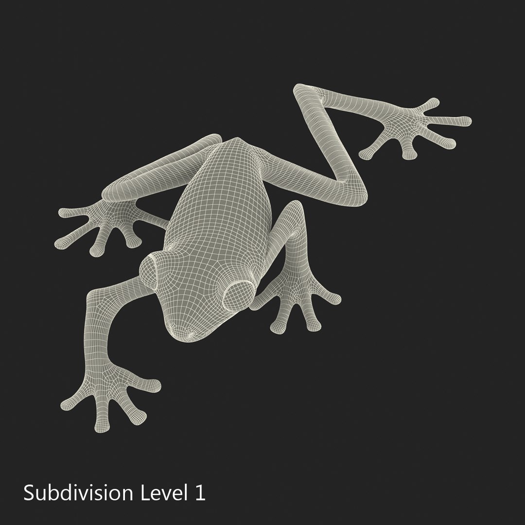 3d Tree Frog Pose 2