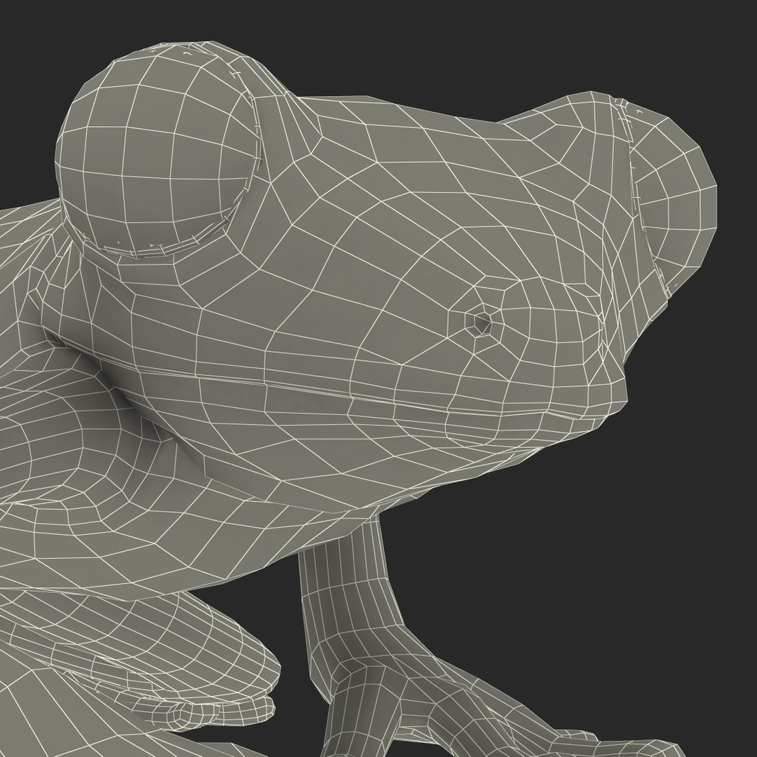 3d Tree Frog Pose 2
